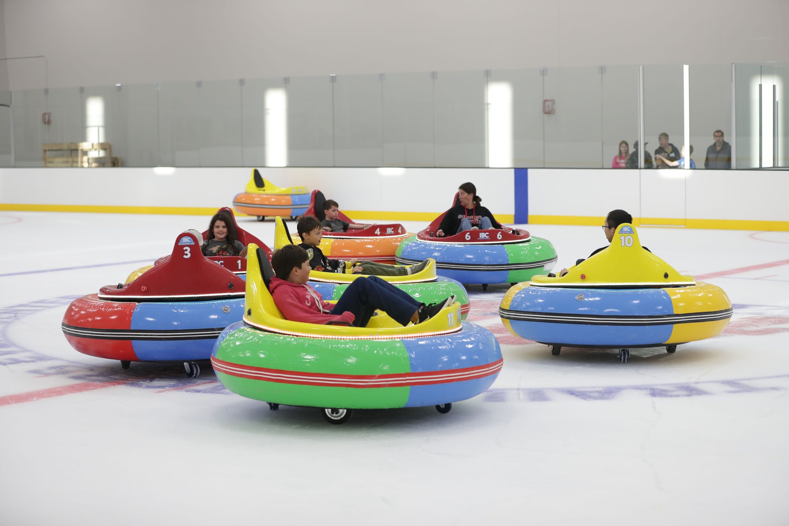 Ice Bumper Cars - Discover the Range