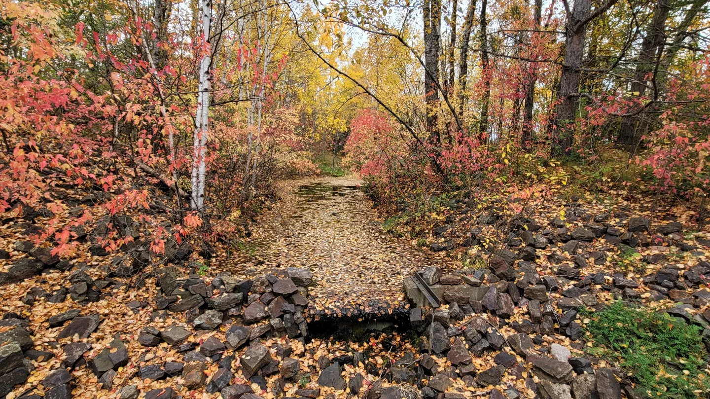 Enjoy Eye-Popping Autumn Colors on The Range - Discover the Range